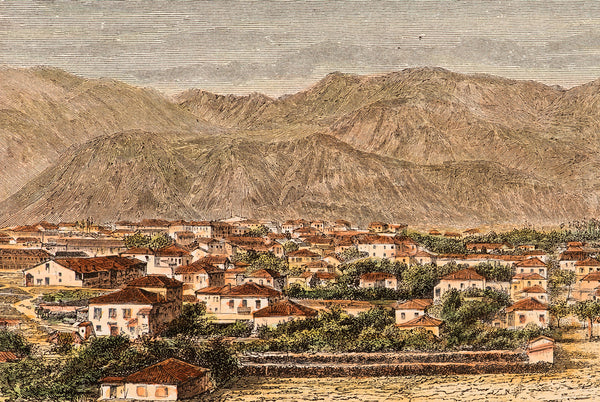 Sparta | Original Engraving | Heritage Gift - Umanismo Athens